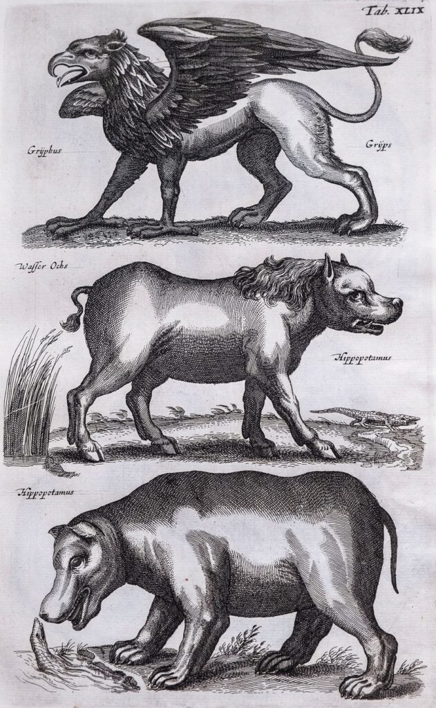Wells Cathedral - Bringing Mythical Creatures to Life - The Association ...