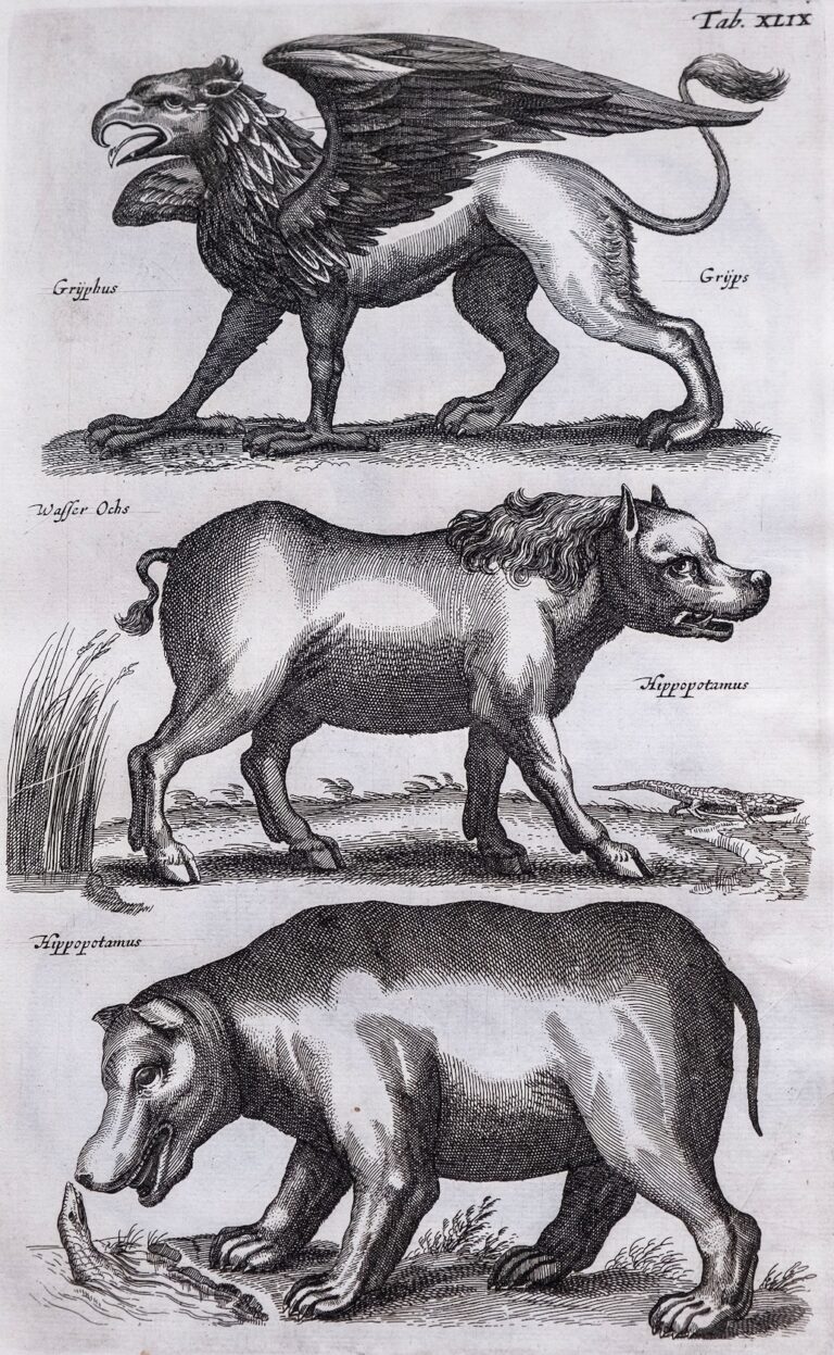Wells Cathedral - Bringing Mythical Creatures to Life - The Association ...